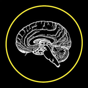 HOPLOFOBIA.INFO – BROŃ PALNA | PRZESTĘPCZOŚĆ | STATYSTYKI | MEDIA